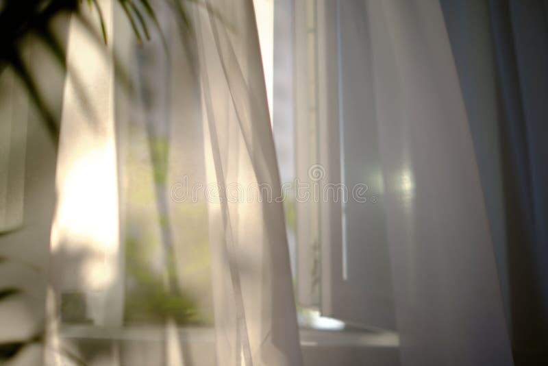 Defocus Warm Sunlight through the Transparent Tulle Illuminates the ...