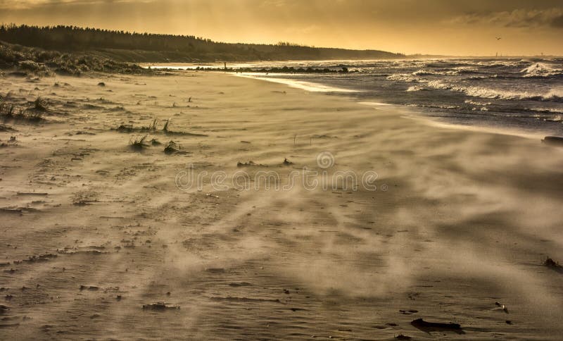 Wind Blows Sand at the Beach Stock Photo - Image of sand, baltic: 84666998