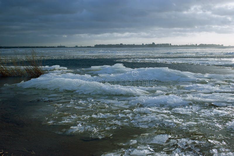 Winter Forest and Windy Sky Stock Photo - Image of cloud, christmas ...