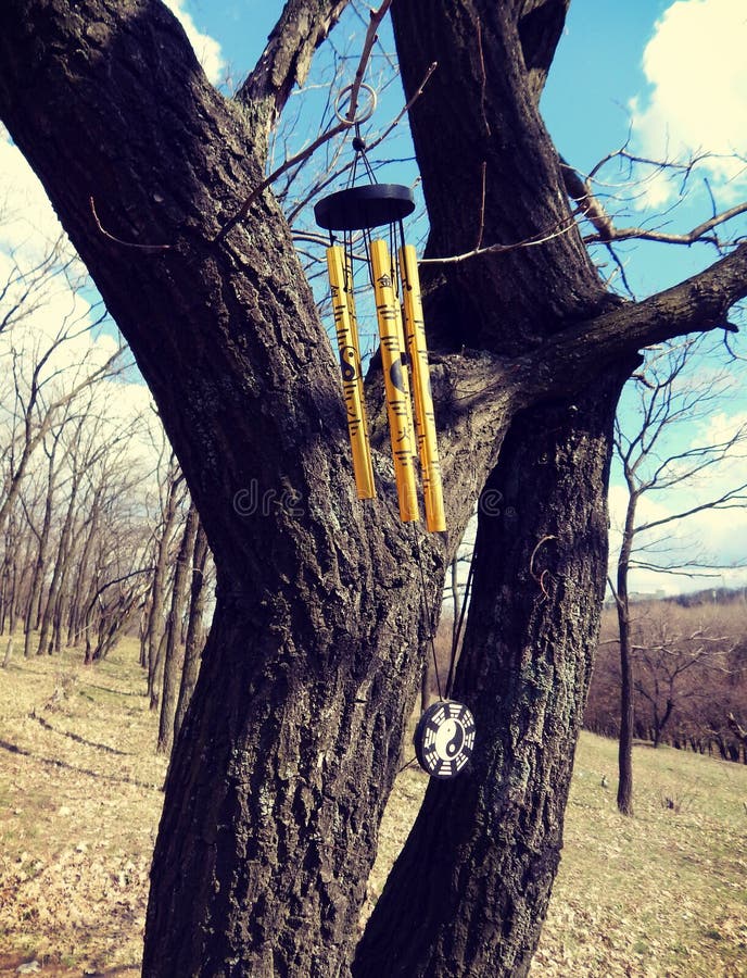 Wind Chimes Hanging on a Tree Branch Stock Photo - Image of talisman ...