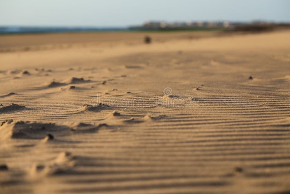 Wind Comb on the Sand Dunes Stock Image - Image of detail, climbing ...