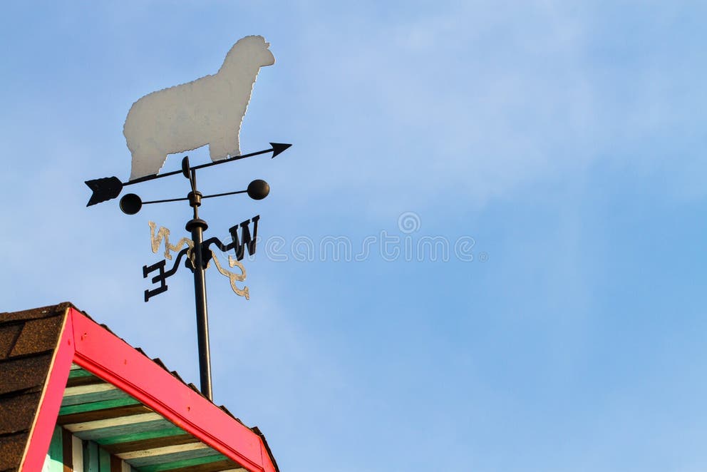 Wind compass stock photo. Image of symbol, sheep, sign - 28716802