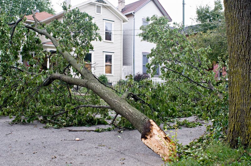 Wind Damage stock photo. Image of closed, dangerous, damage - 6412298