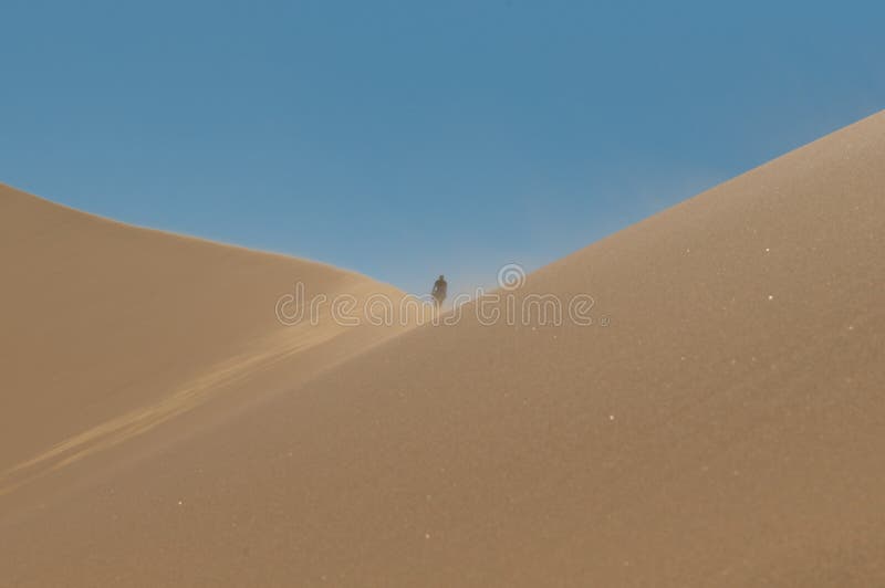 Wind in the desert stock photo. Image of adventure, sand - 21011916
