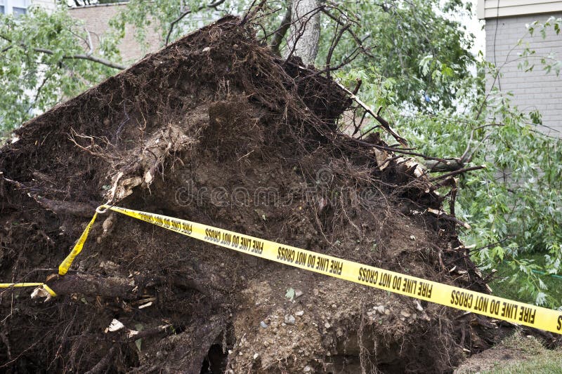 Wind Destruction Outdoors stock photo. Image of damage - 61284606