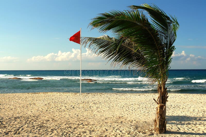 Wind Direction Picture. Image: 5228096