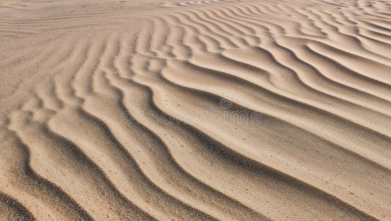 Wind-drawn Patterns Creating Captivating Desert Sand Textures Stock ...