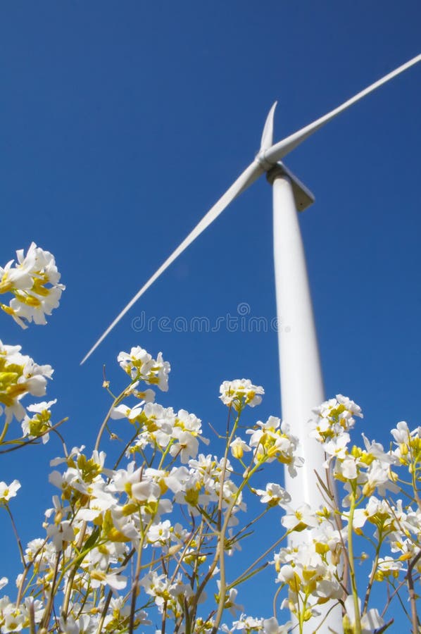 Wind-driven generator stock photo. Image of flowers, energy - 5654674