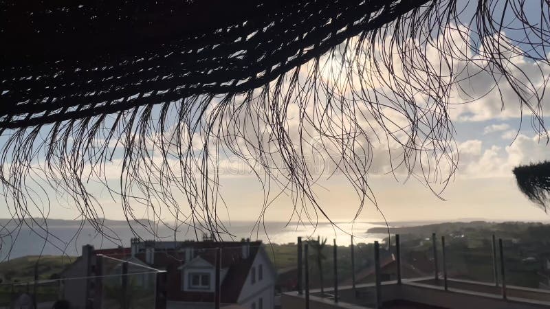 Wind-driven Parasol Made of Natural Materials. Soft Movement of the ...