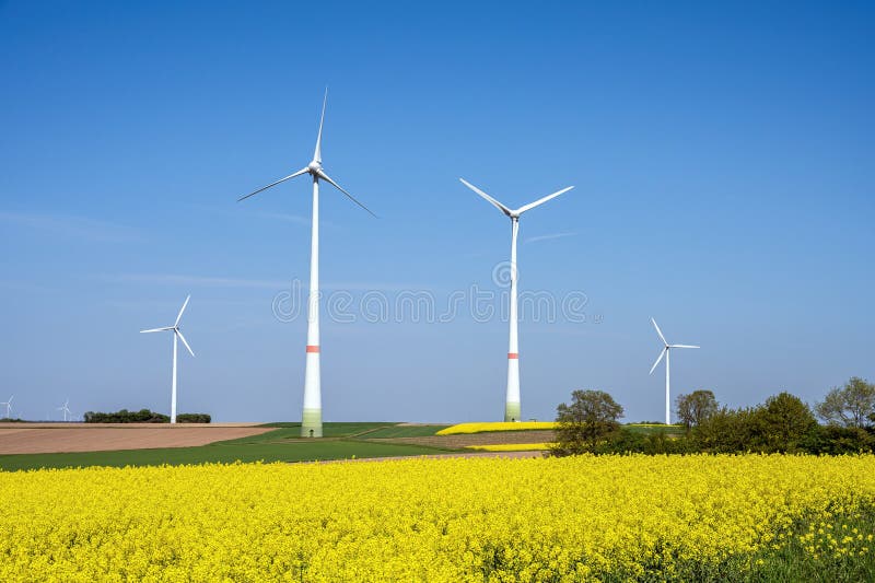 Wind Energy Plants in Yellow and Green Agricultural Fields Stock Image ...