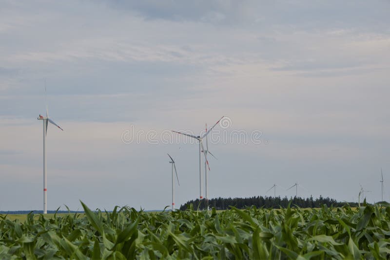Wind Energy.Wind Turbines in a Corn Field. Energy Sources Stock Image ...