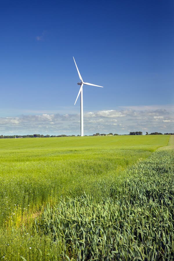 The wind engine in field stock photo. Image of cereal - 33796238