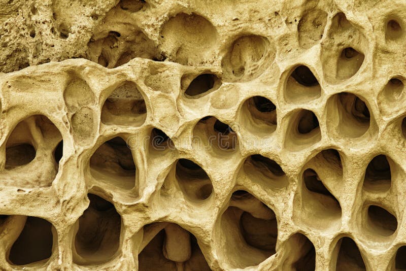 Wind Eroded Yellow Limestone Mountain with a Lot of Small Holes Stock ...
