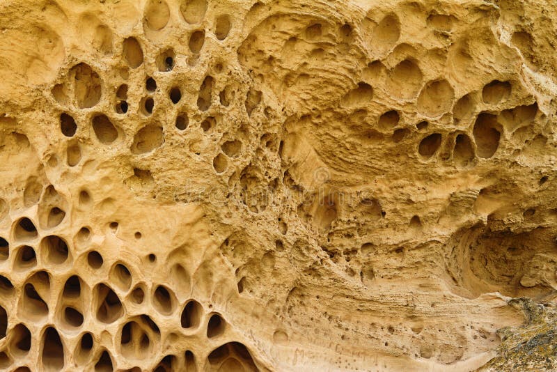 Wind Eroded Yellow Limestone Mountain with a Lot of Small Holes Stock ...