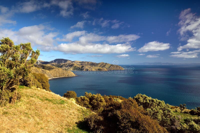 Looking Over the Cook Straits Stock Image - Image of west, fence: 320666055