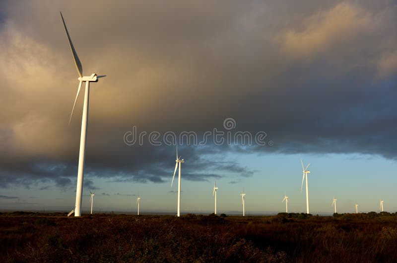 A Wind Farm of Eerie Looking Turbines in Early Morning Light Stock ...