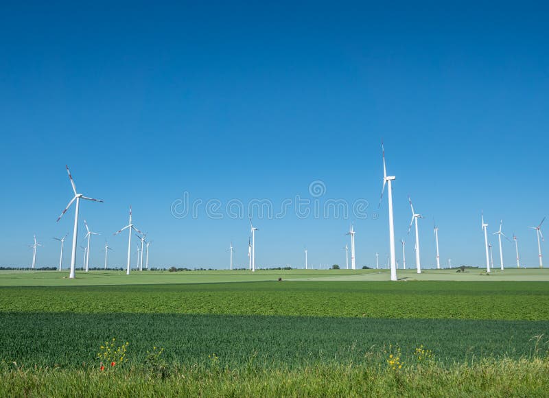 Wind Farm in a Field in Summer Stock Image - Image of future, farm ...