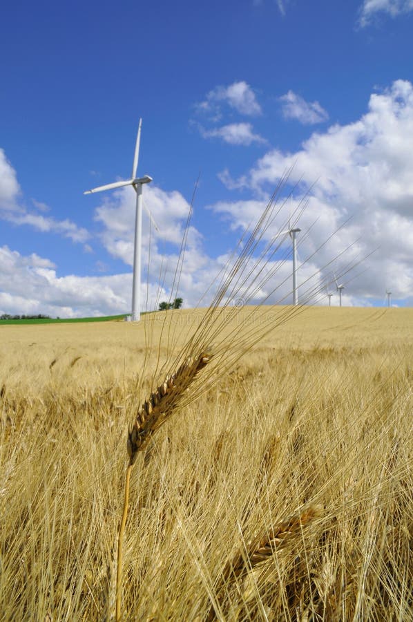 Wind farm in summer stock photo. Image of field, windmill - 5823274