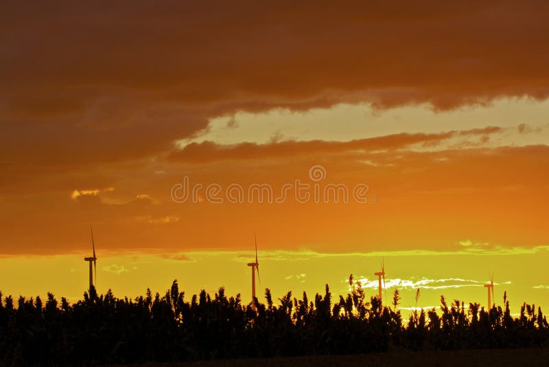 Wind Farm in Sunset stock photo. Image of scenic, windmill - 16872506