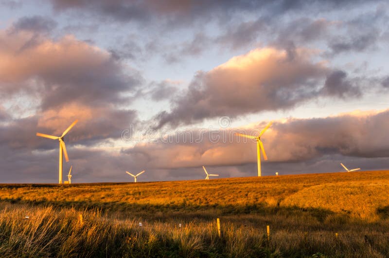 Wind Farm at Sunset stock image. Image of dusk, sustainability - 46484739