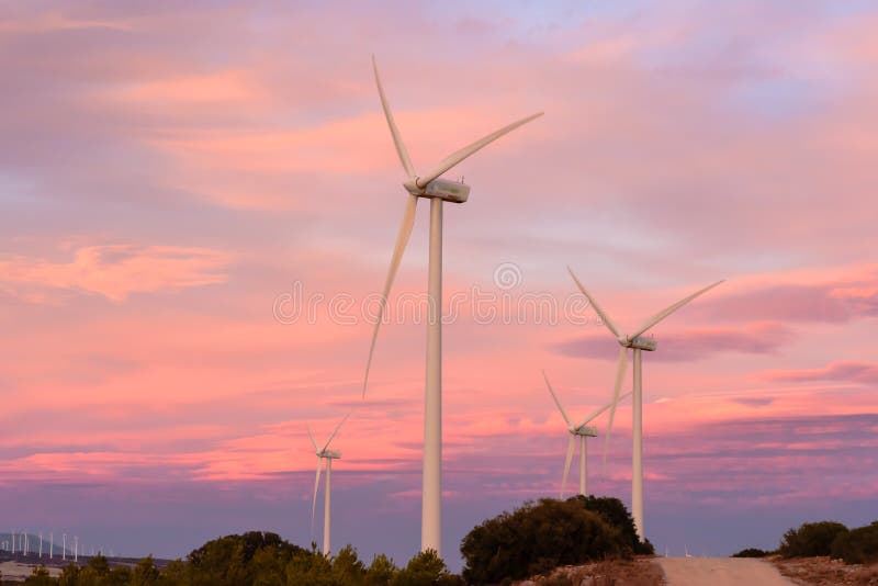 Wind farm at sunset stock photo. Image of environmental - 87875724