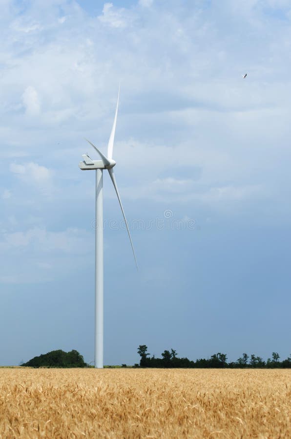 A Wind Farm in the Wide Spread Field Stock Image - Image of natural ...