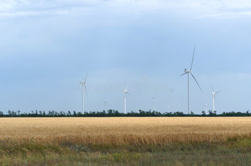 A Wind Farm in the Wide Spread Field Stock Photo - Image of open ...