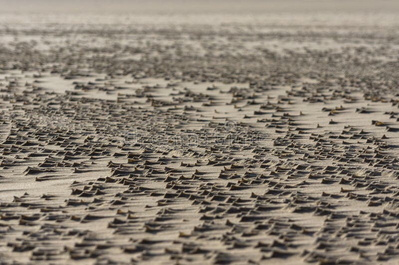 Wind force eight stock photo. Image of north, windchill - 67051176