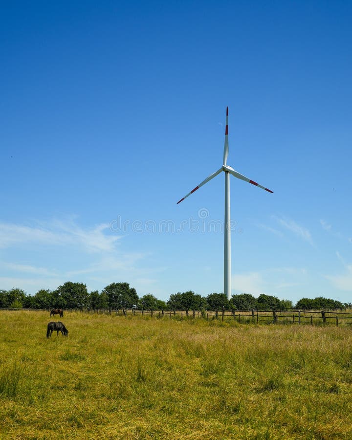 Wind Generator Turbines View in the Station on the Sunny Day Stock ...