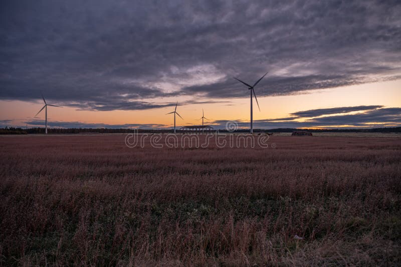 Wind up skeleton stock photo. Image of bones, skeleton - 11039518