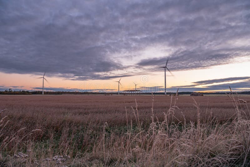 Wind up skeleton stock photo. Image of bones, skeleton - 11039518