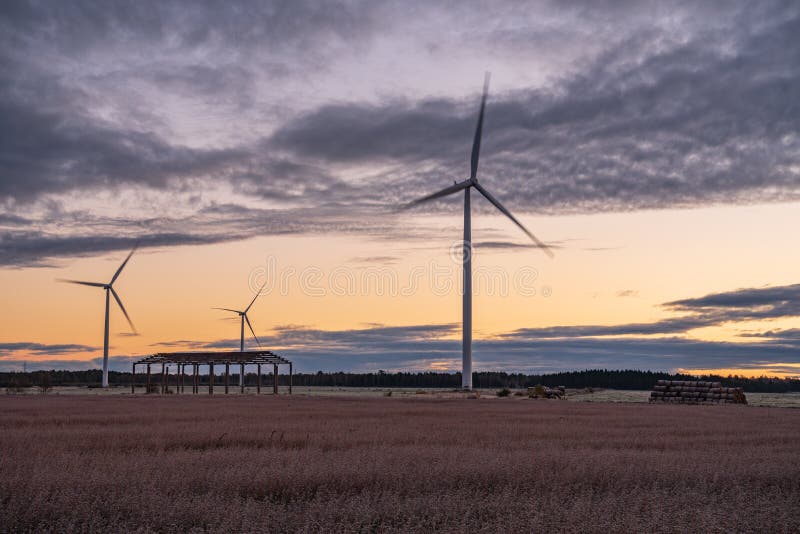 Wind up skeleton stock photo. Image of bones, skeleton - 11039518