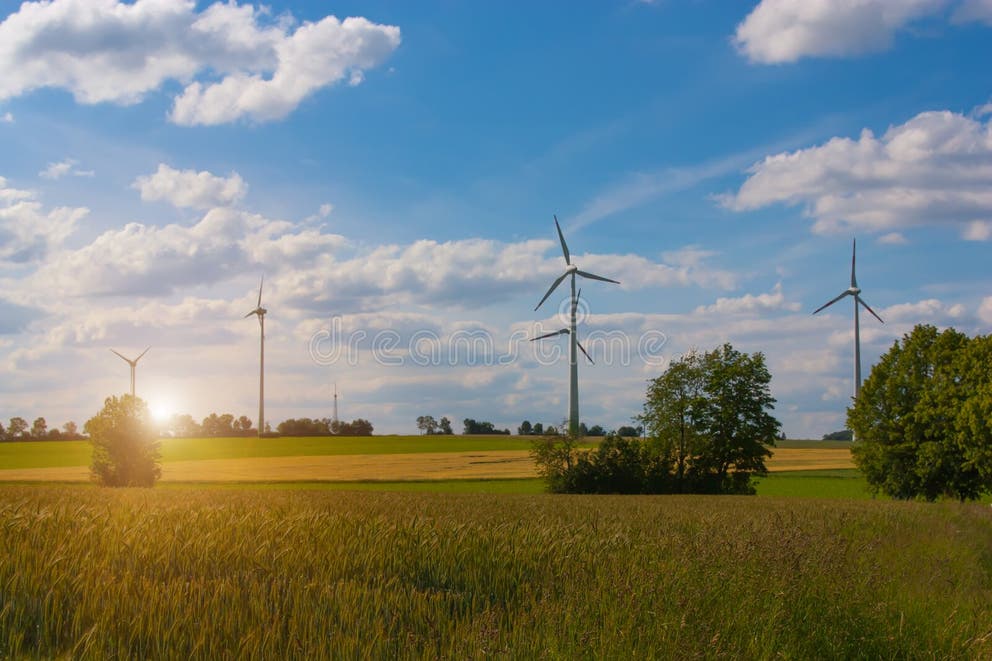 Wind Generators Under the Blue Sky at Sunset Stock Image - Image of ...