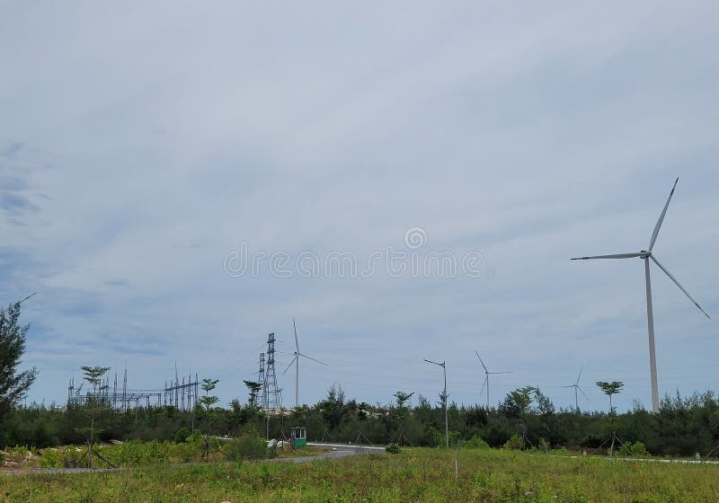 Auxiliary Forest Stock Photos - Free & Royalty-Free Stock Photos from ...