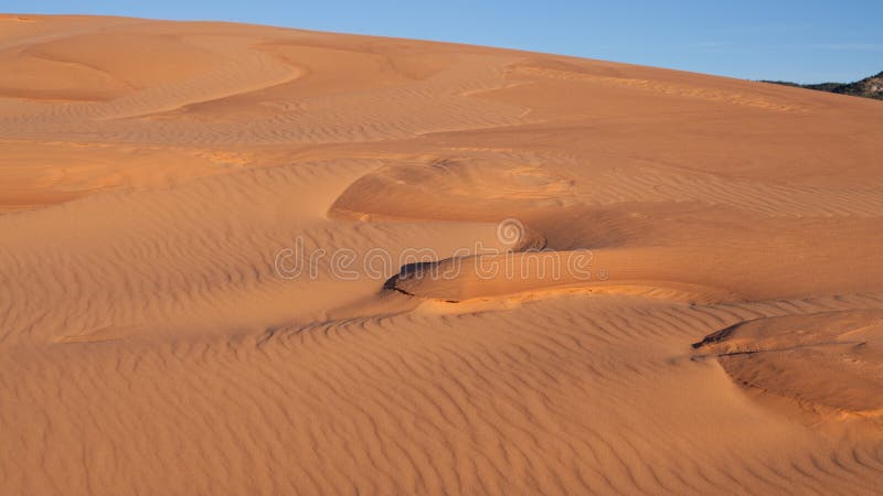 Wind Has Formed Ripple Patterns in the Sand at Coral Pink Sand Dunes ...