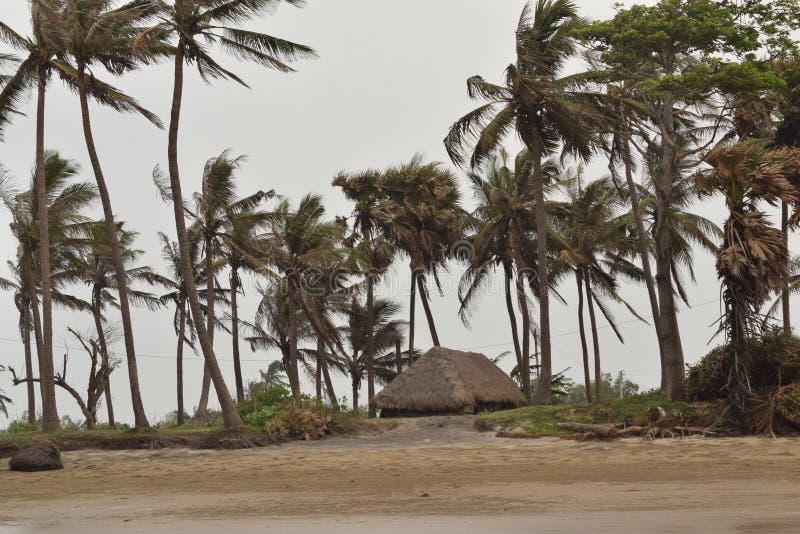 The Wind and the Hut stock photo. Image of back, work - 73681788