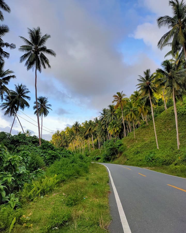 Wind and Lonely Road stock image. Image of vegetation - 252941433