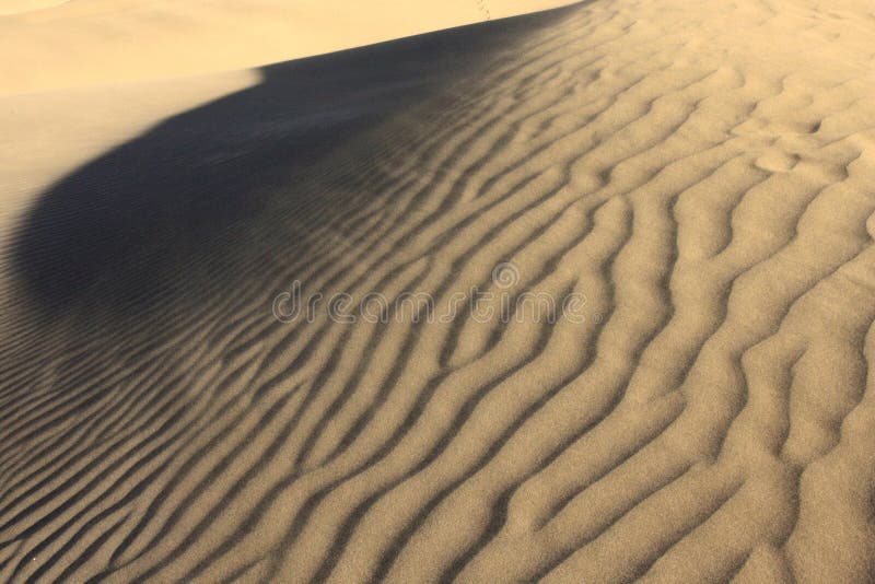 Wind make texture on sand stock photo. Image of coastal - 12716378