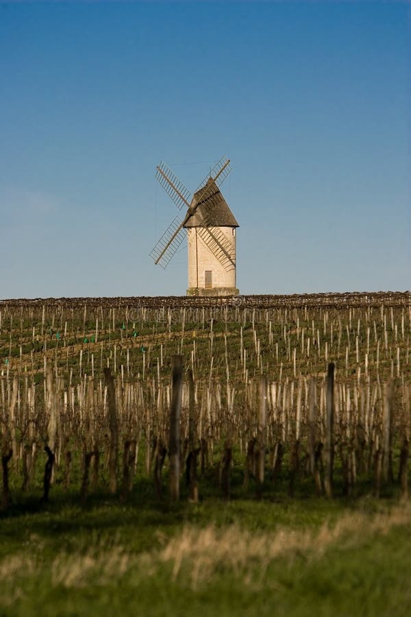Wind Mill in Vineyard stock image. Image of grower, stakes - 2169411