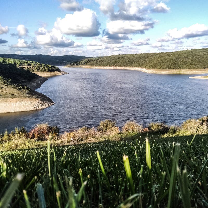 Wind and nature stock photo. Image of wind, flower, nature - 231805886