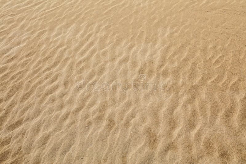 Wind Pattern on Desert Sand Stock Image - Image of rippled, ripple ...