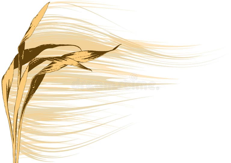 Flex Plant Stock Illustrations – 77 Flex Plant Stock Illustrations ...