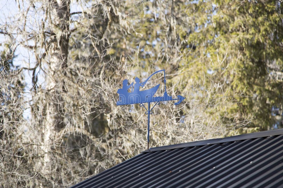 Wind Pointer on Roof stock photo. Image of steel, trees - 50621044