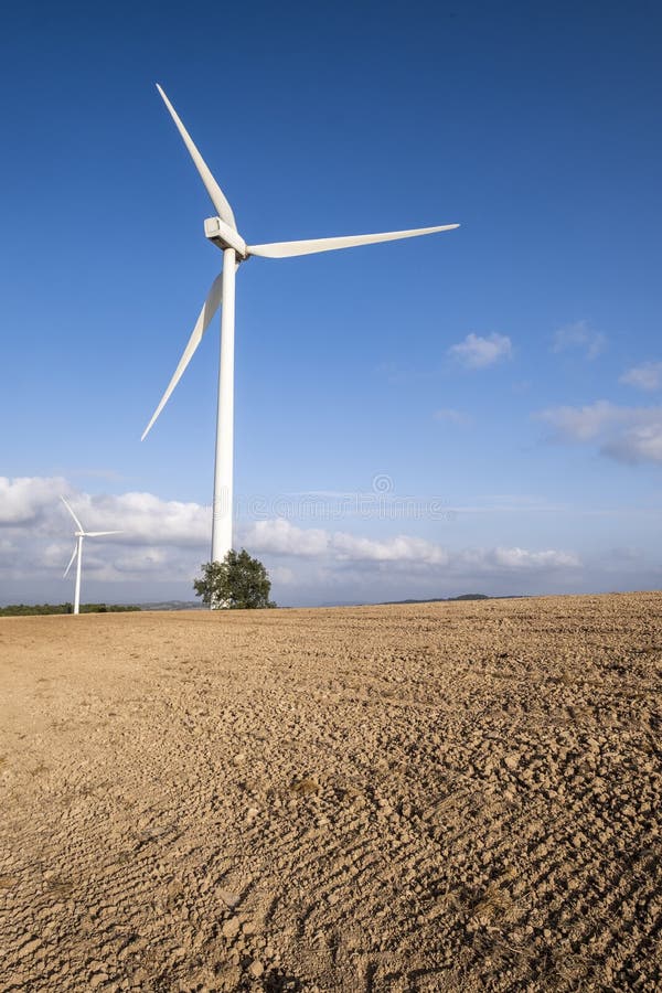 Wind Power in Agricultural Fields Stock Image - Image of environmental ...