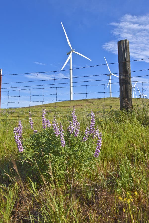 Wind Power Eastern Washington. Stock Image - Image of turbine, energy ...