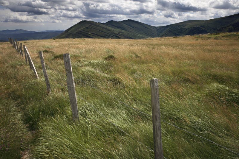 Wind on the prairie stock photo. Image of grass, green - 10444370