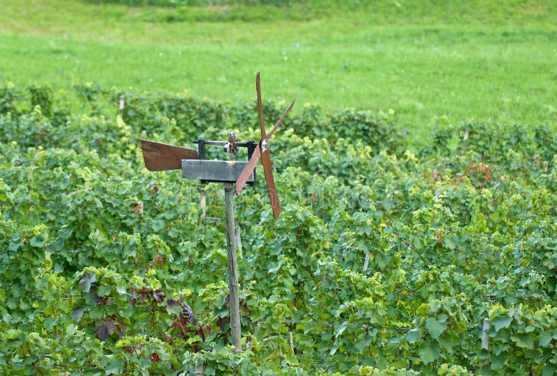 Wind Rattle Vineyard Stock Photos - Free & Royalty-Free Stock Photos ...