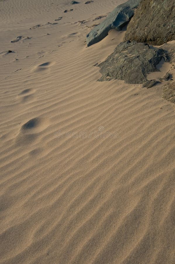 Wind ripple of sand beach stock image. Image of sands - 29498683