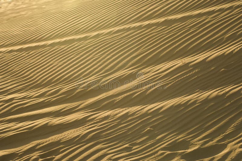 Wind Ripples stock photo. Image of track, sand, horizontal - 29650162