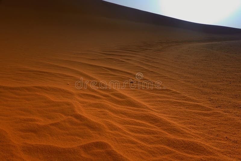 Wind Ripples in the Sand of the Sahara at Sunrise Stock Image - Image ...